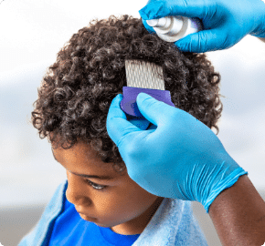 Head Lice Treatment Austin TX | Lice Lifters Travis County