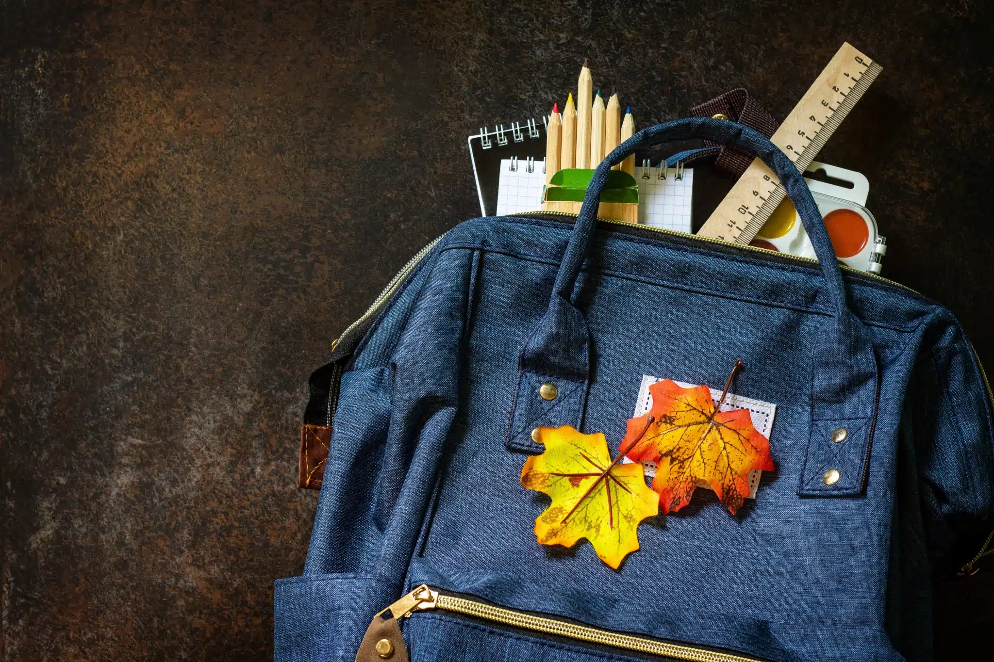 Back To School Lice Prevention Austin | Family Guide