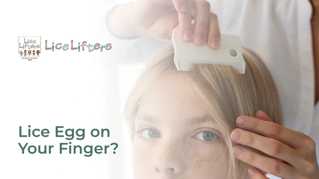 What Do Lice Eggs Look Like Up Close? | Lice Lifters